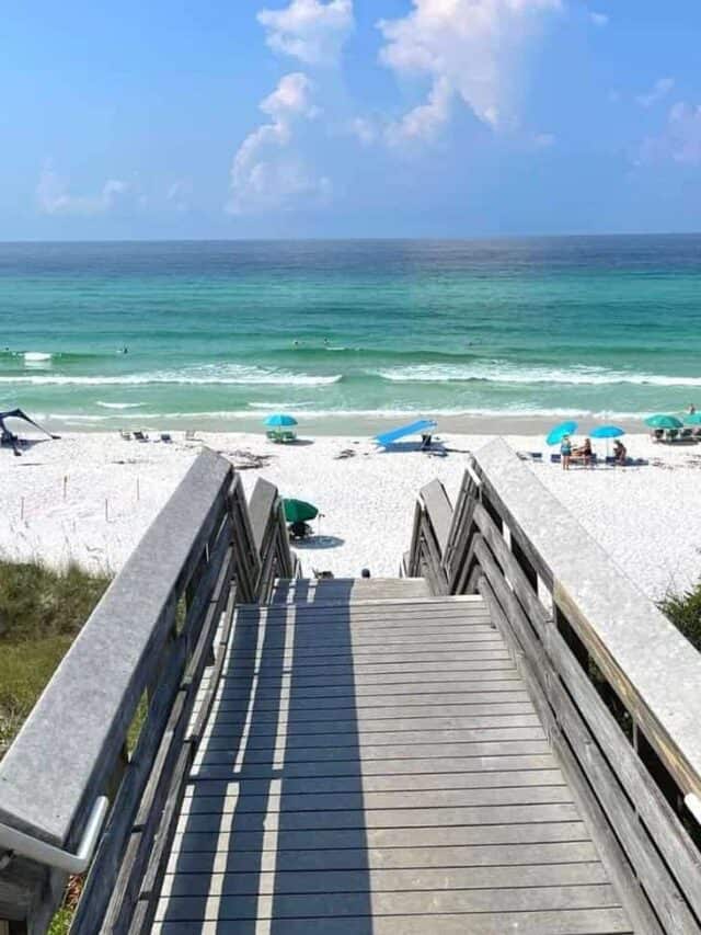 Best Things to Do in Seaside, Florida Story | Disha Discovers
