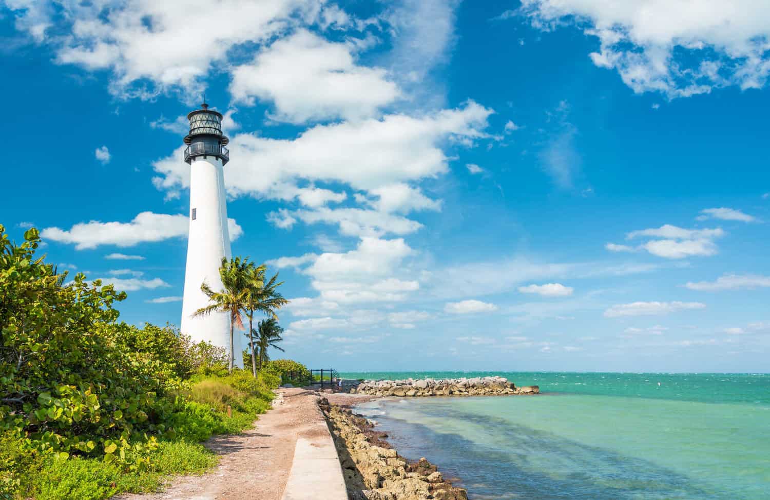 One Day in Miami: The BEST 1 Day in Miami